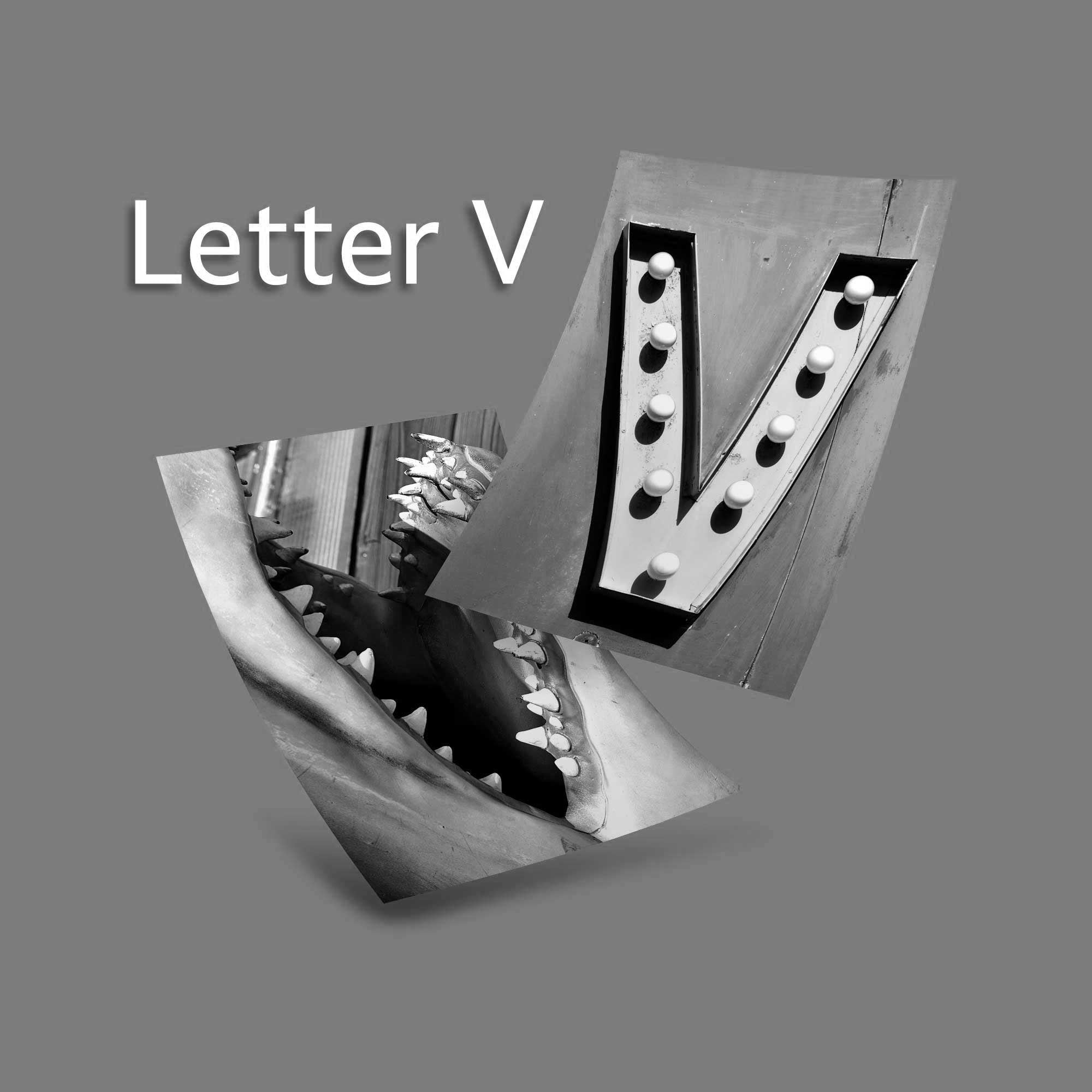 Black and White Letter V – LetterArt.com