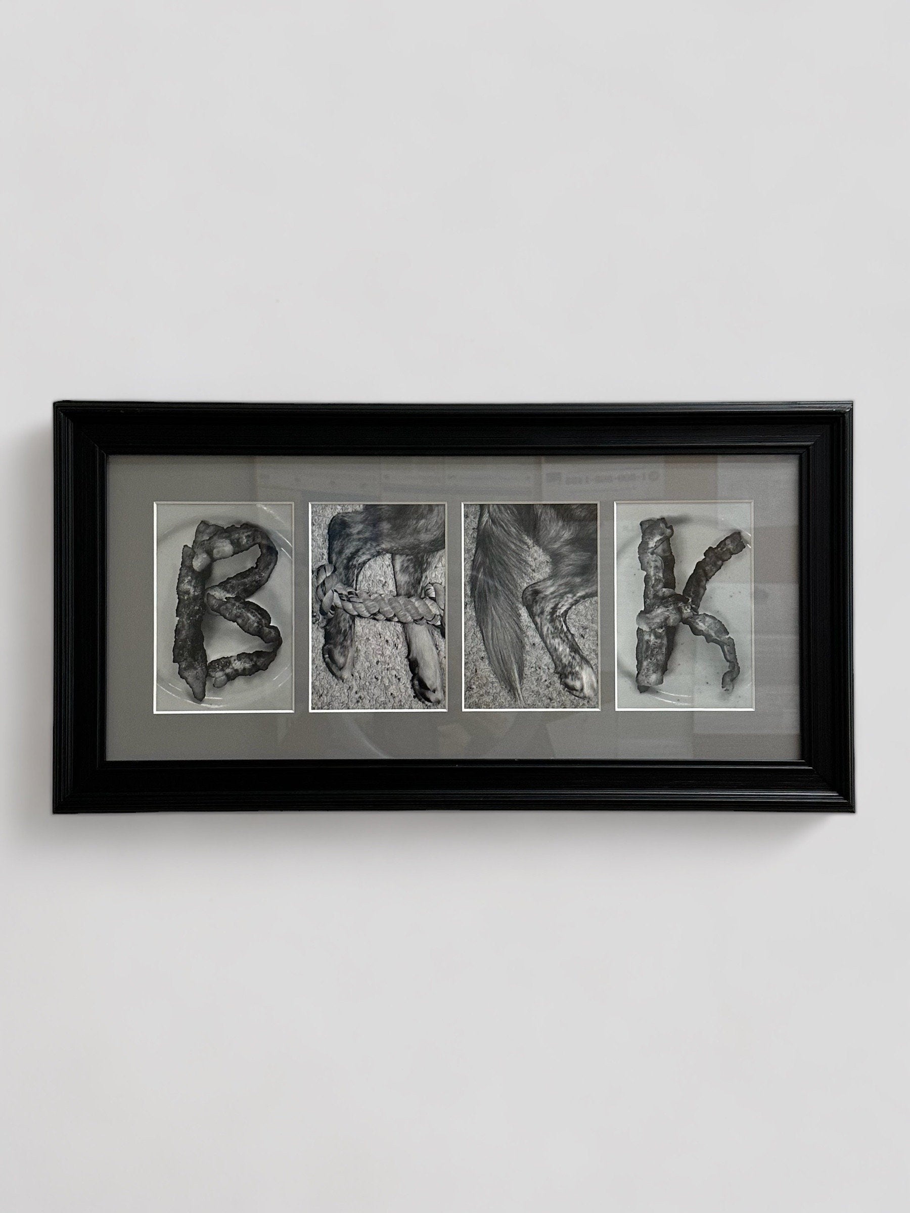 BARK Premade Letter Art – LetterArt.com